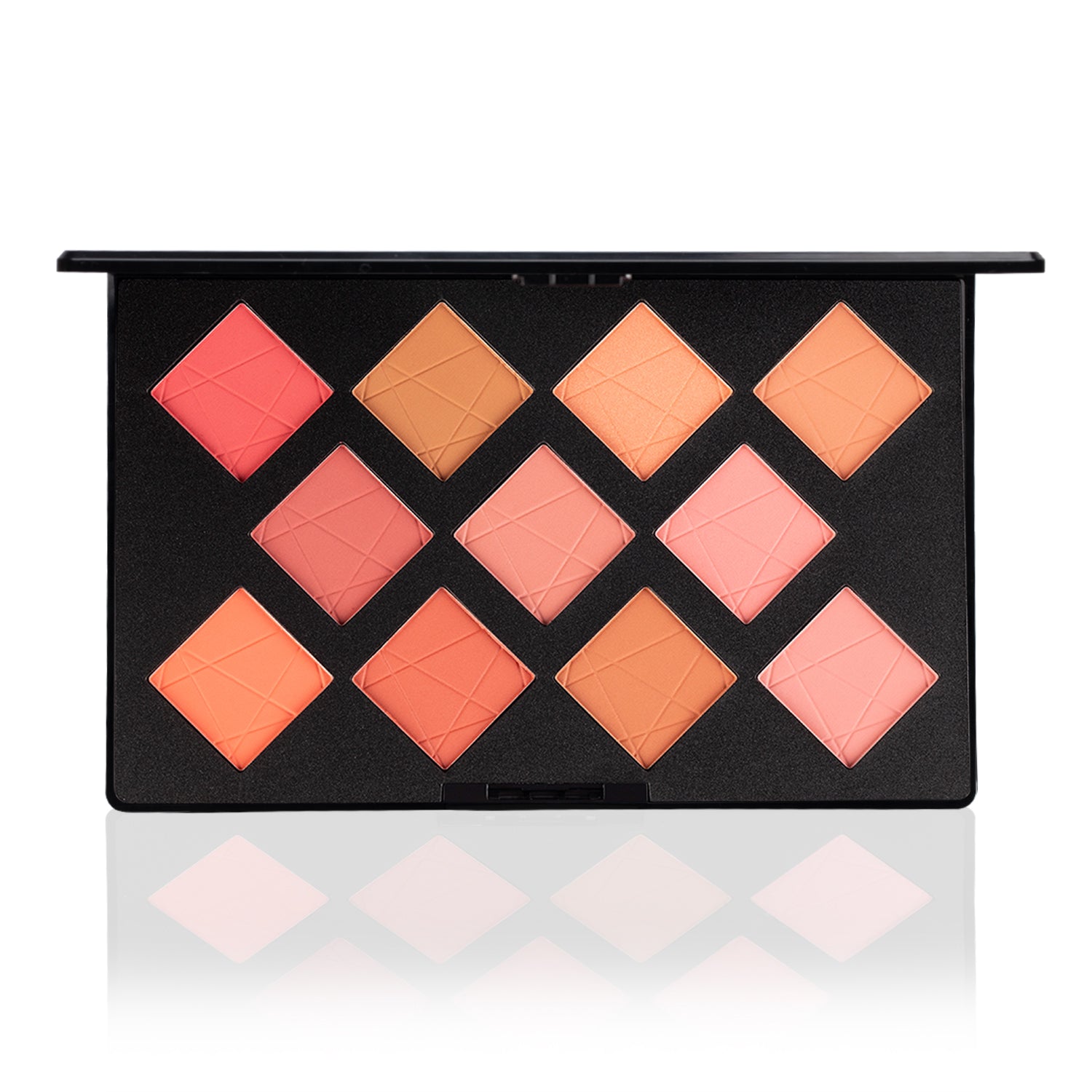 PAC Take Cover Blusher X11 Best Blush Palette